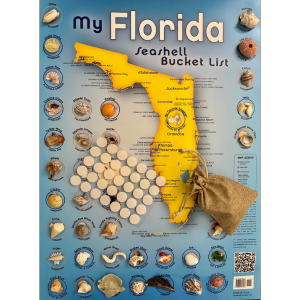 Interactive Poster Bundle – Includes Shells and Glue Dots | Author Pam ...